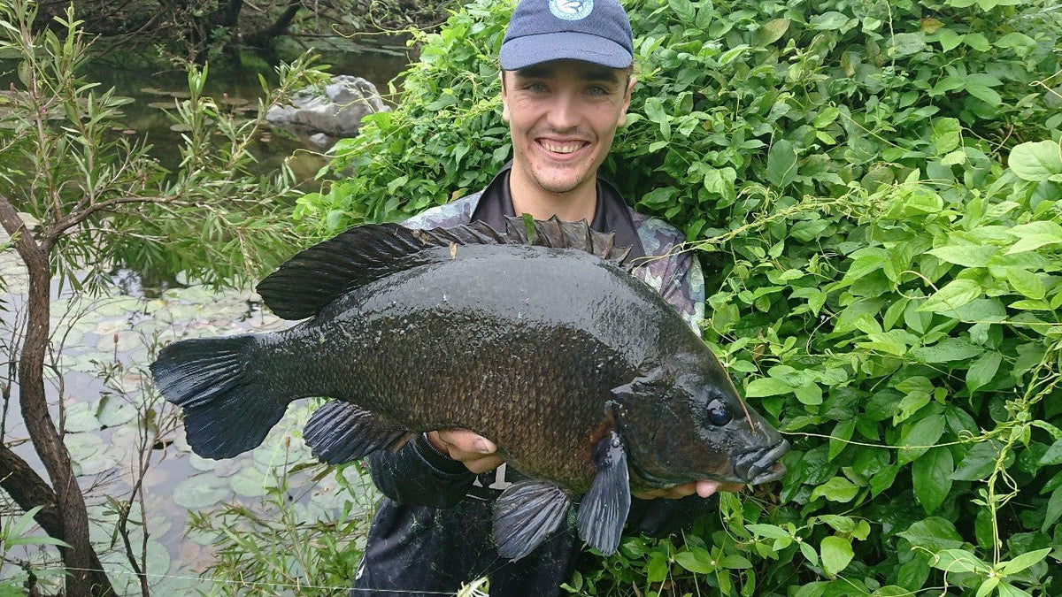 Sooty Grunter Sessions – Nautical Marine Sales